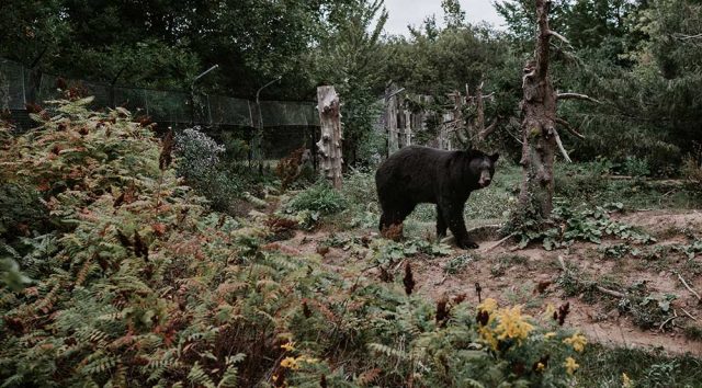 Les villes à visiter au Canada : notre top ! - Imagine Canada