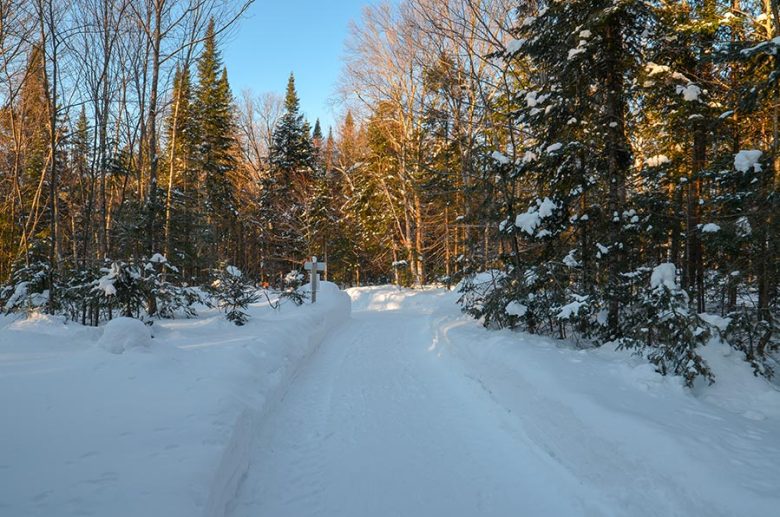 Les plus beaux parcs nationaux du Québec - Imagine Canada